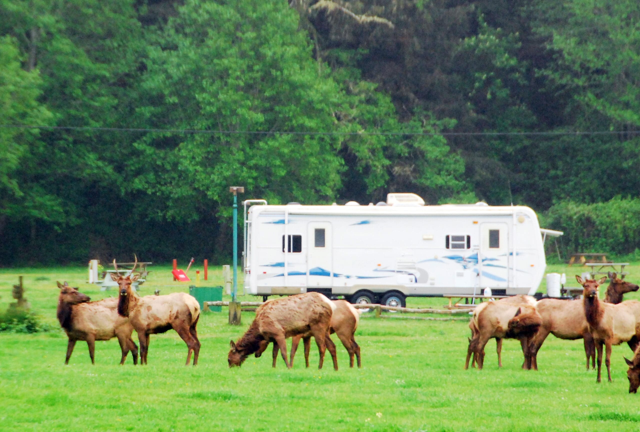 The Benefit of RV Travel Memberships - Bluenose RV Centre in Pine Grove, NS